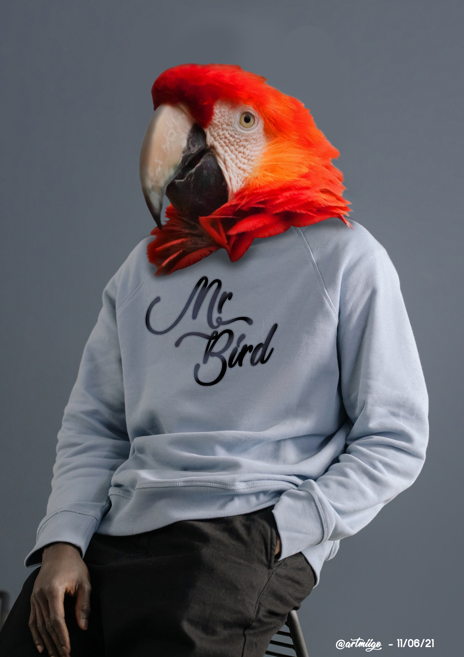 ArtStation - Mr Bird