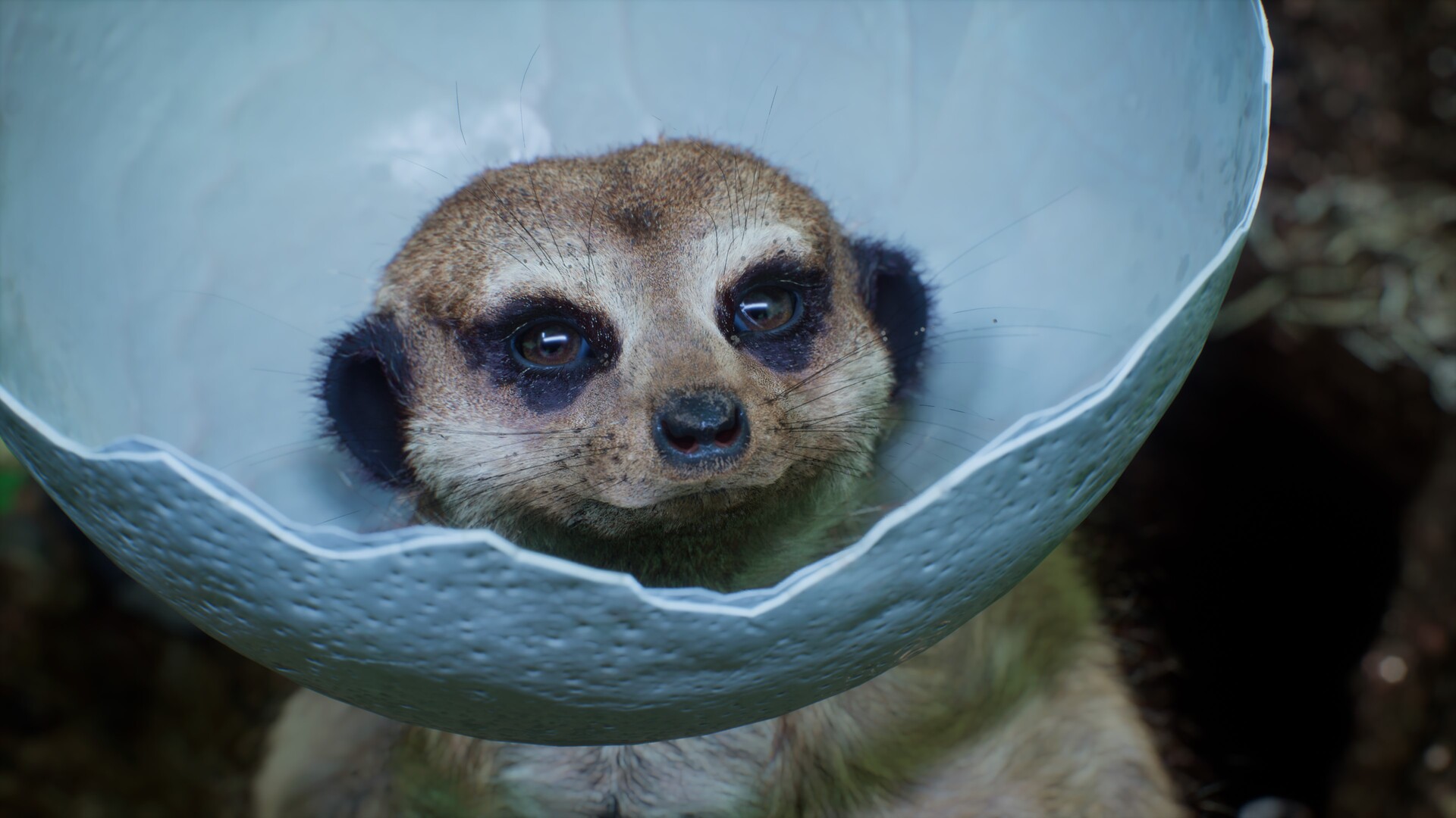 Alexander Sokolyuk - Meerkat in the forest UNREAL ENGINE 5 | Realistic ...