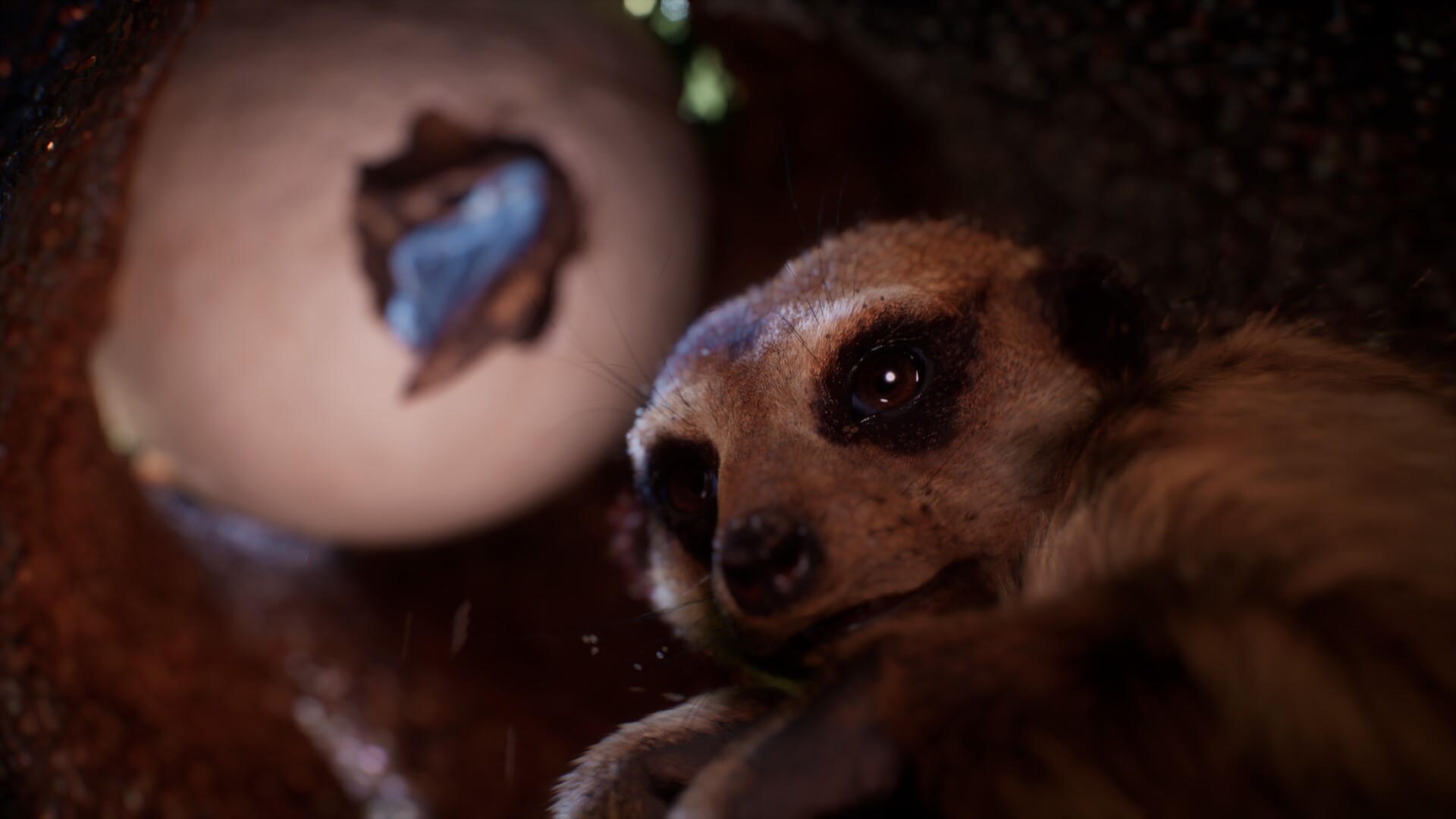 Alexander Sokolyuk - Meerkat in the forest UNREAL ENGINE 5 | Realistic ...