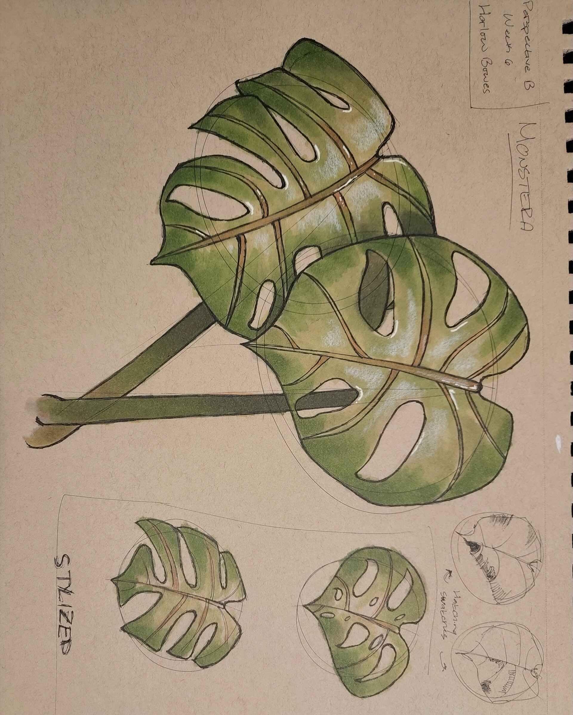 ArtStation - Plant Studies