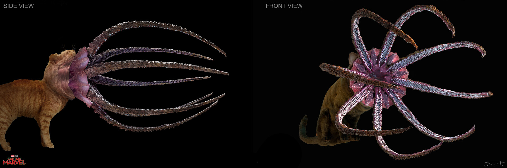 Tyler Scarlet - Captain Marvel, Flerken Design