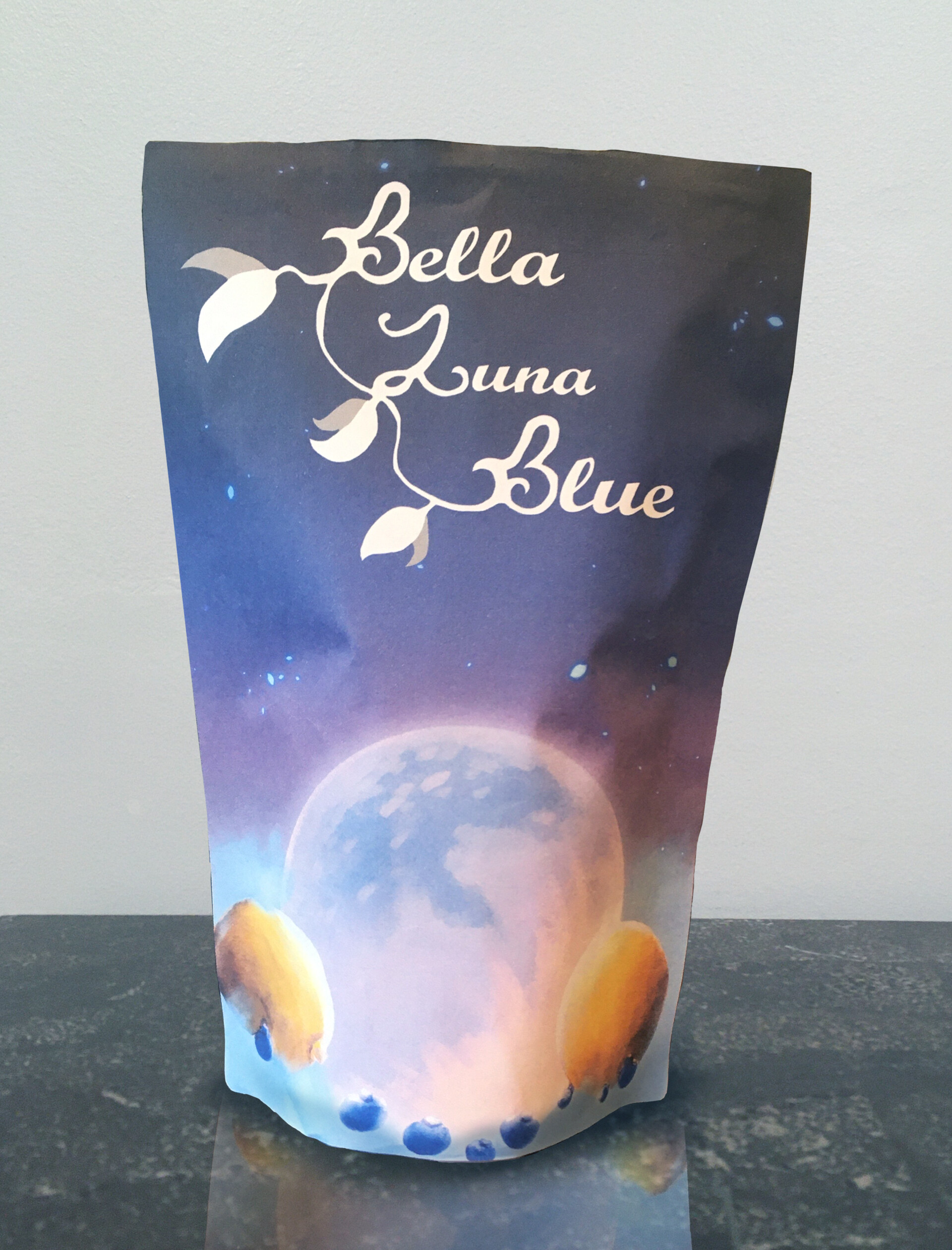 ArtStation - Packaging Mockup