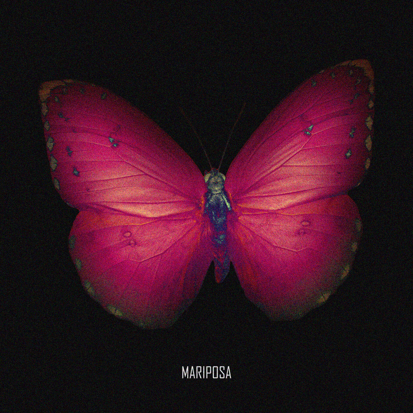 ArtStation - Mariposa 🦋