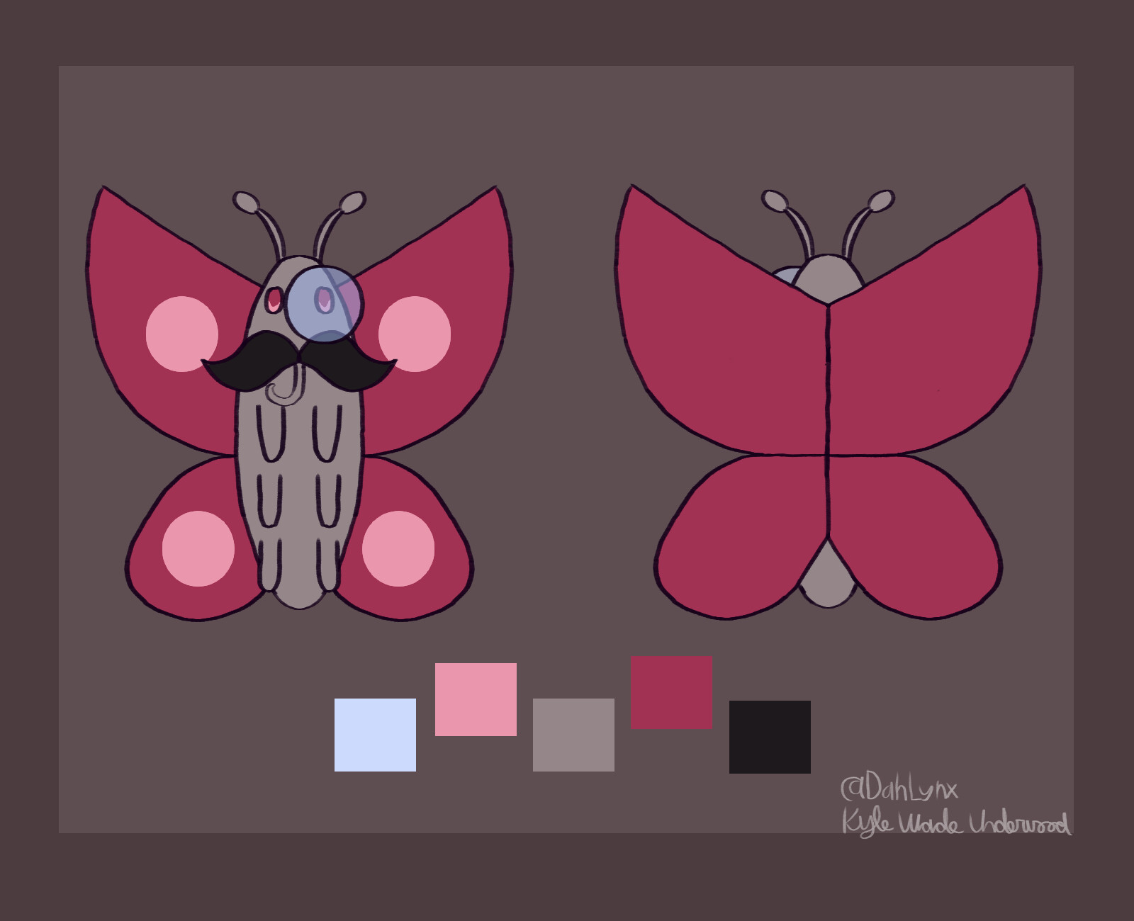 ArtStation - Butterfly reference sheet