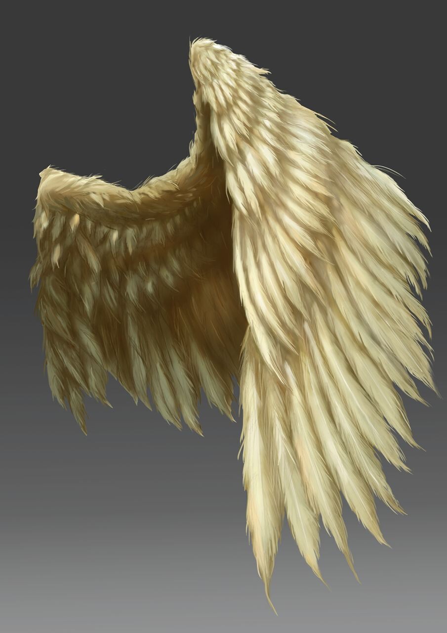 ArtStation - Wing (by tutorial Yu Cheng Hong)