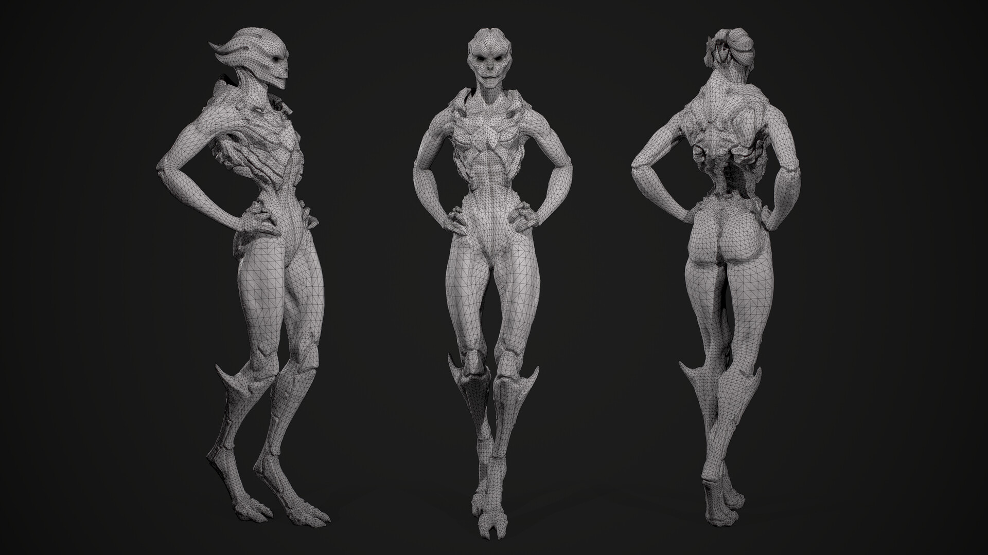 Asari Anatomy
