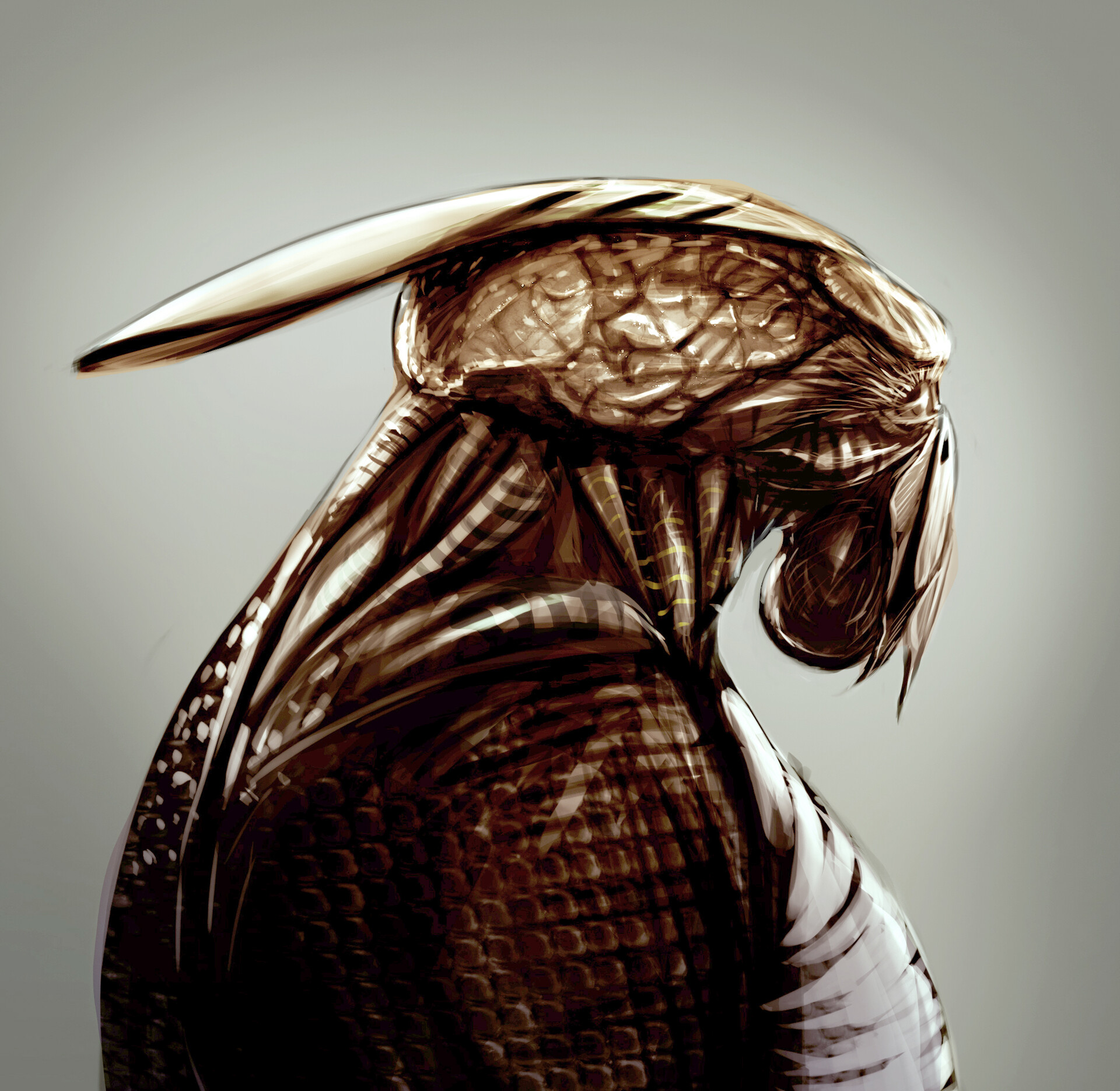 ArtStation - Creatures