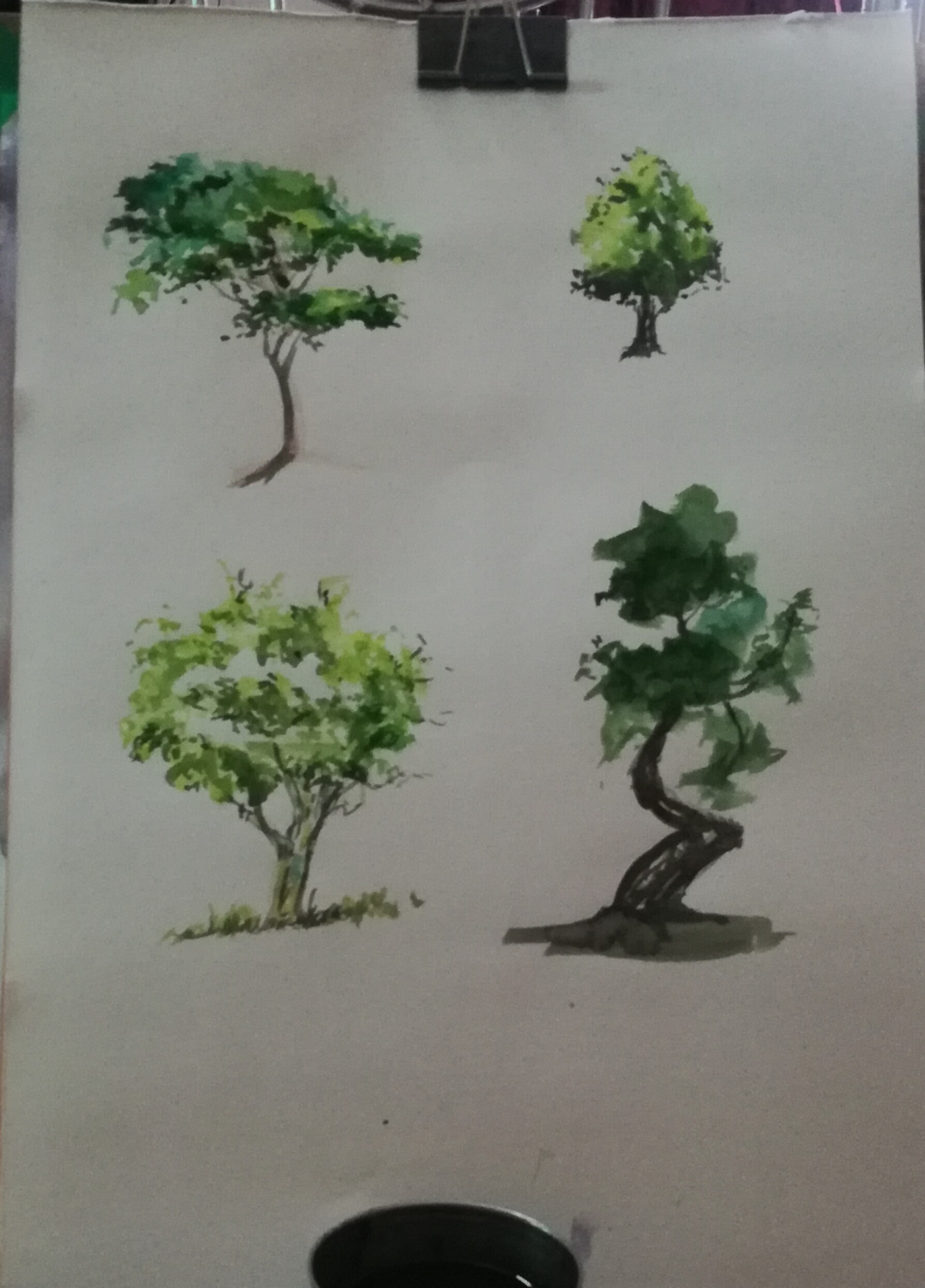 ArtStation - watercolor tree study 01