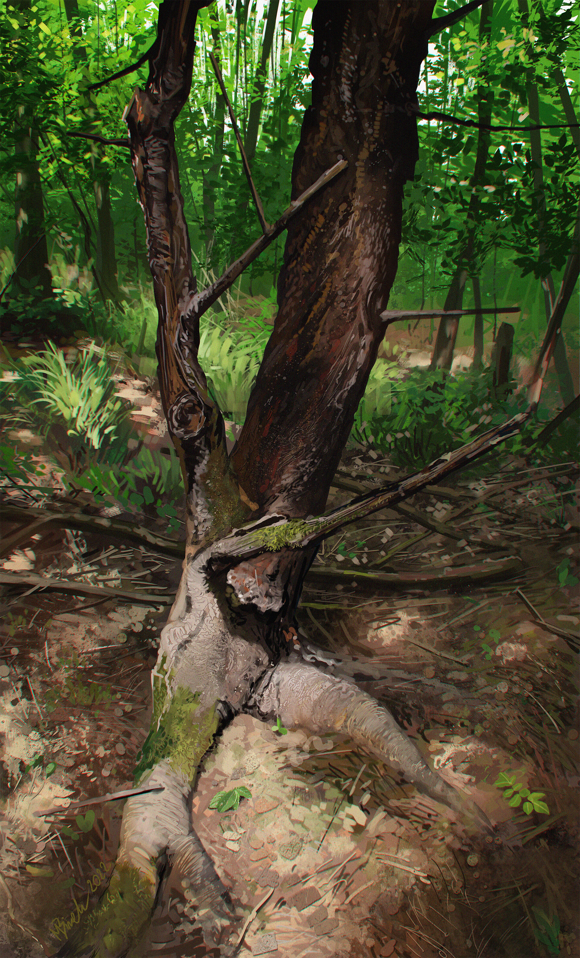 ArtStation - Tree study