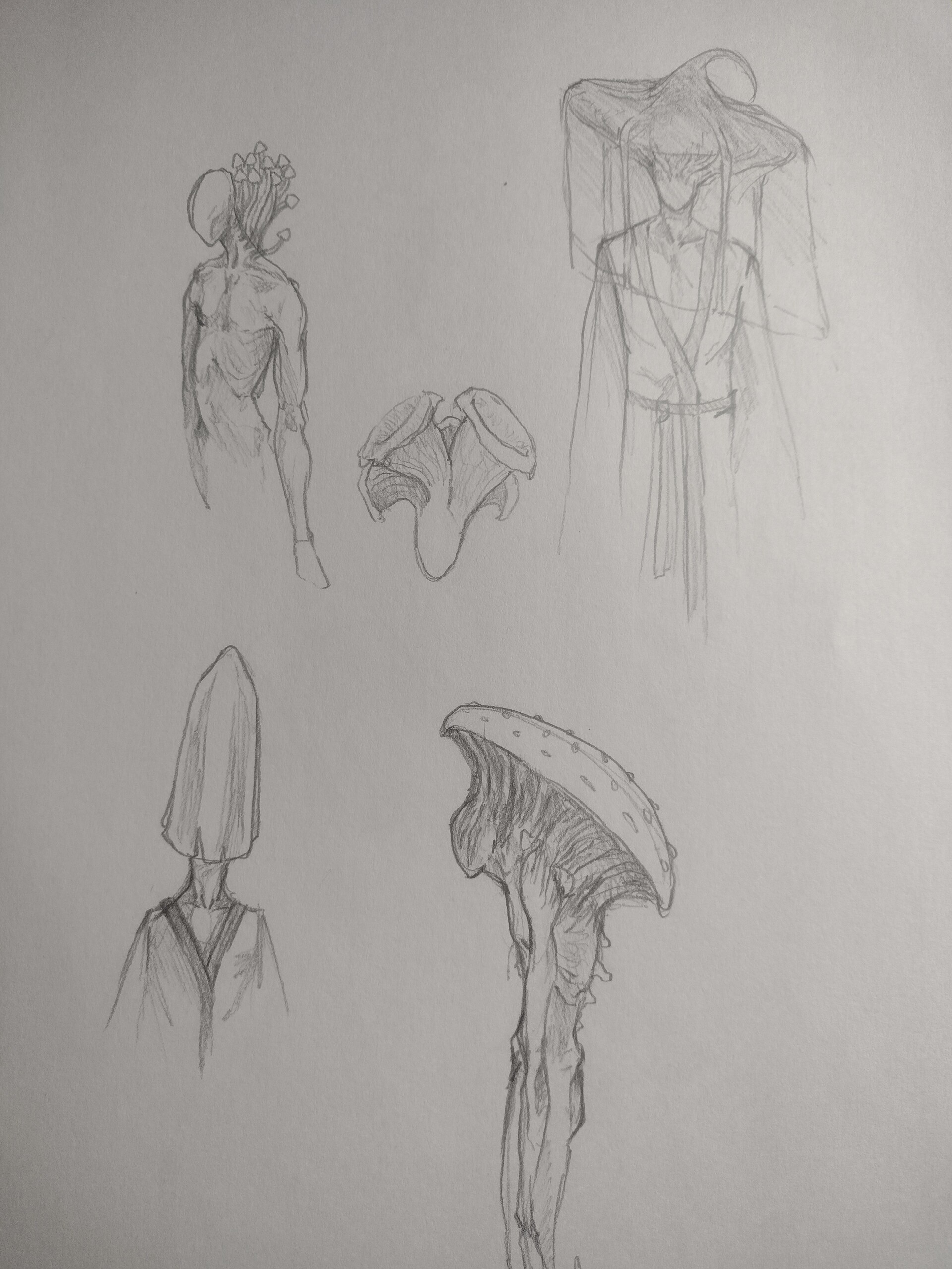 Arturo Calle - Hydnellum peckii