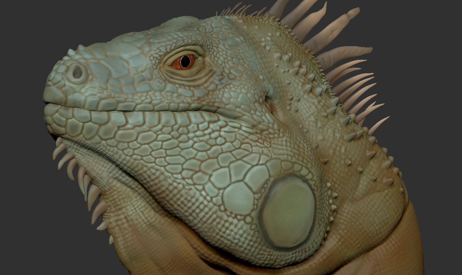 ArtStation - Iguana Bust