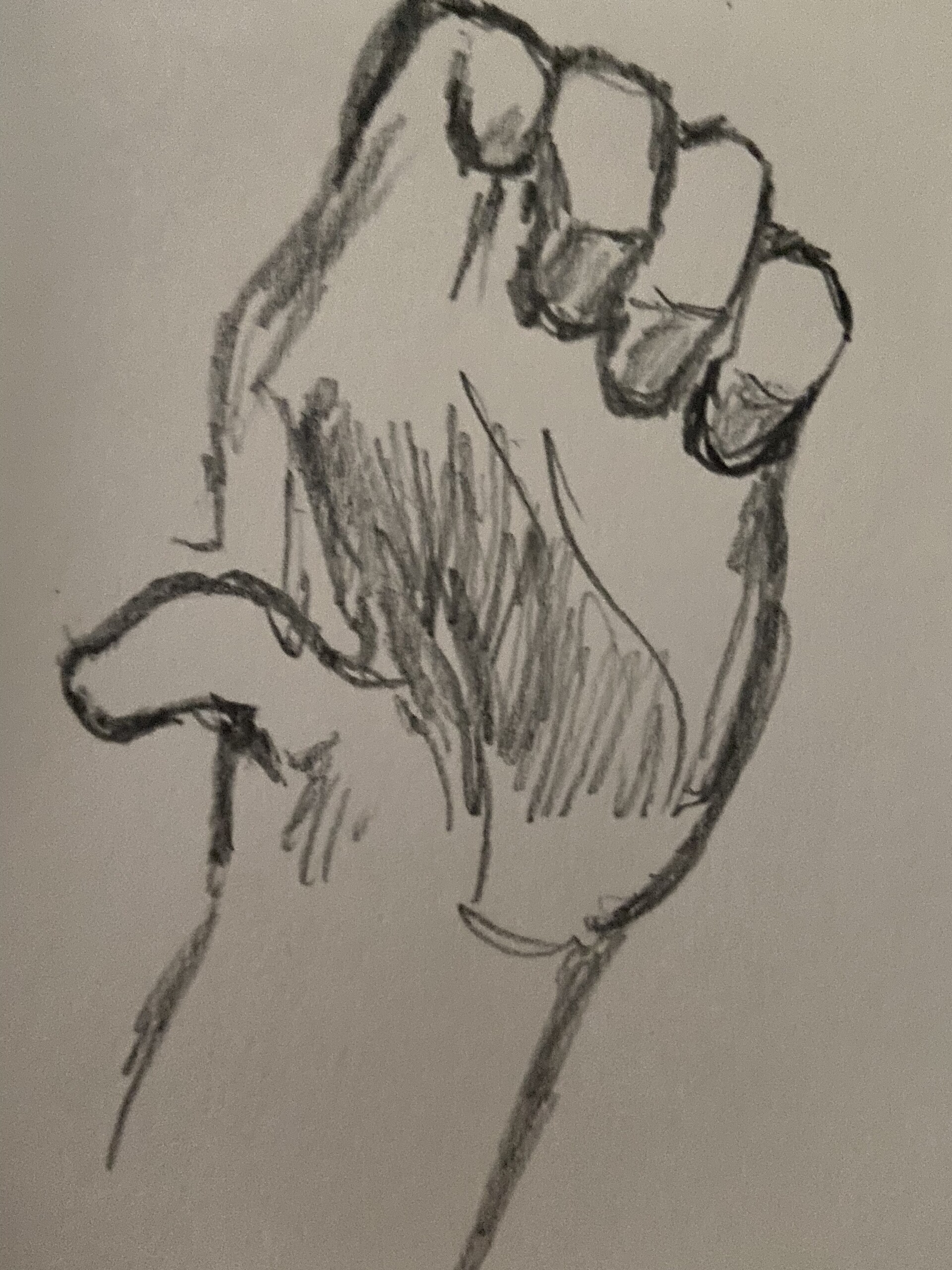 Left Hand Reference Drawing
