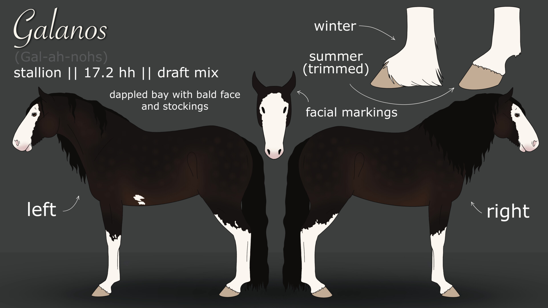 ArtStation - Galanos Reference Sheet