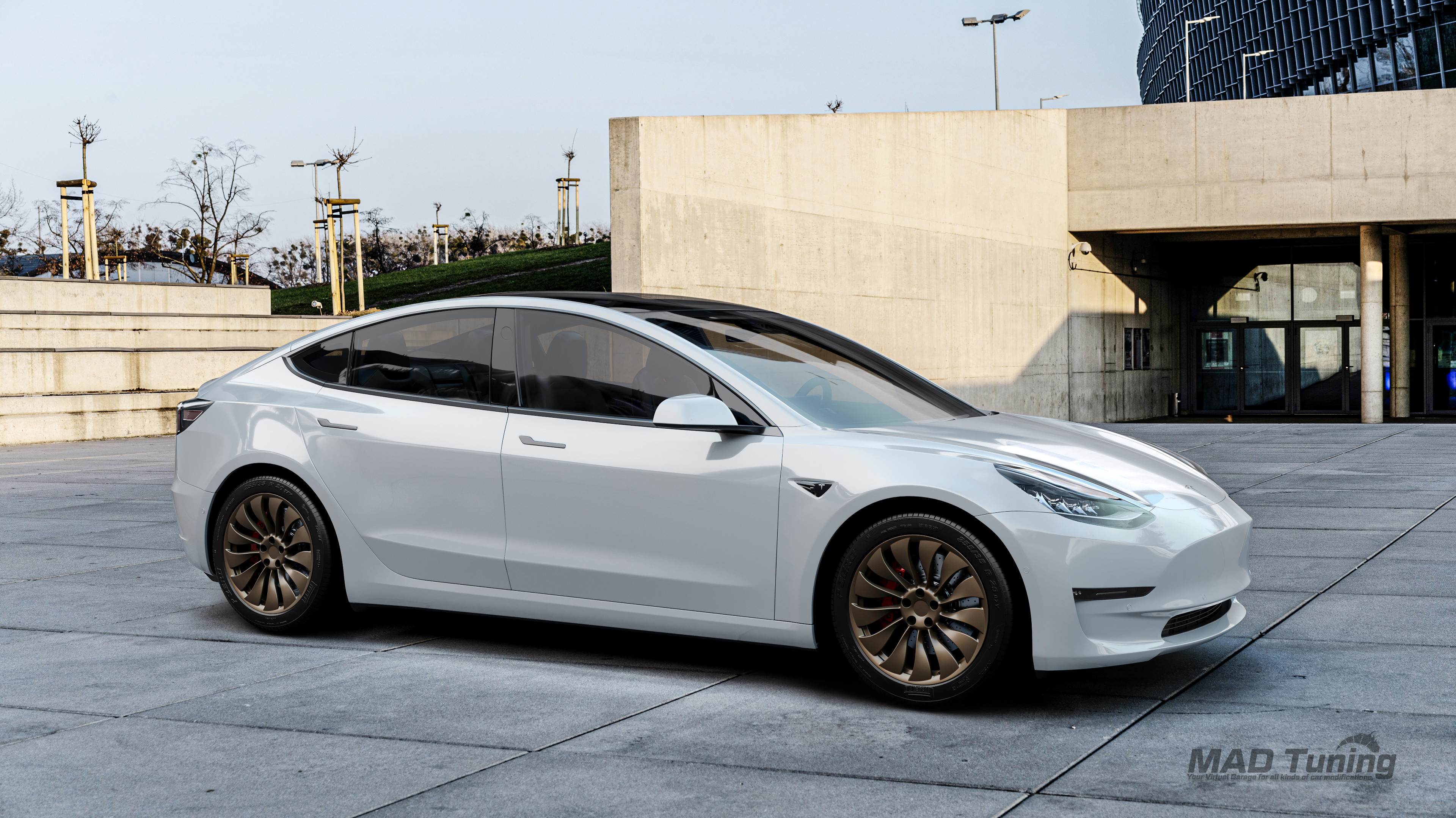 Houssem Douik - Custom Tesla model 3 rims