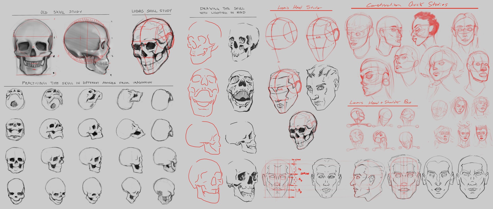 ArtStation - Skull/Head Studies