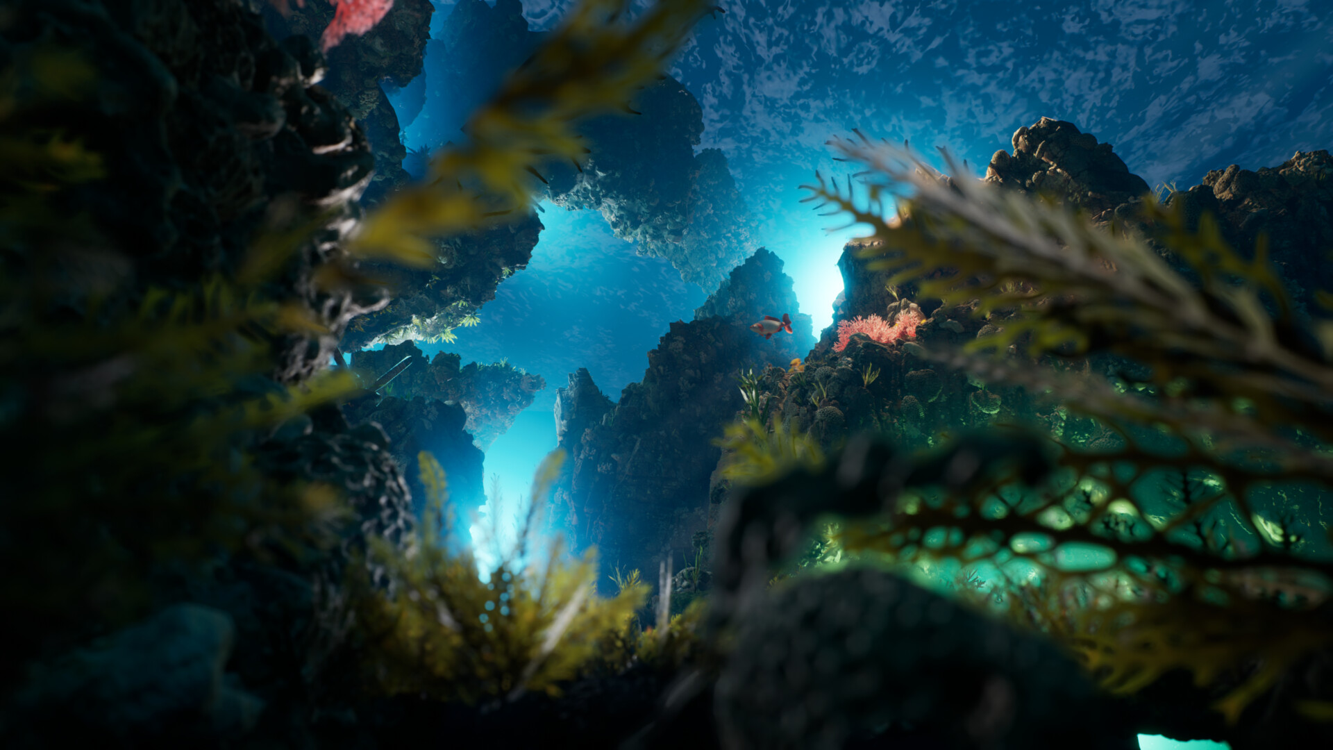 ArtStation - Aqua Coral Reef - Unreal Engine Environment