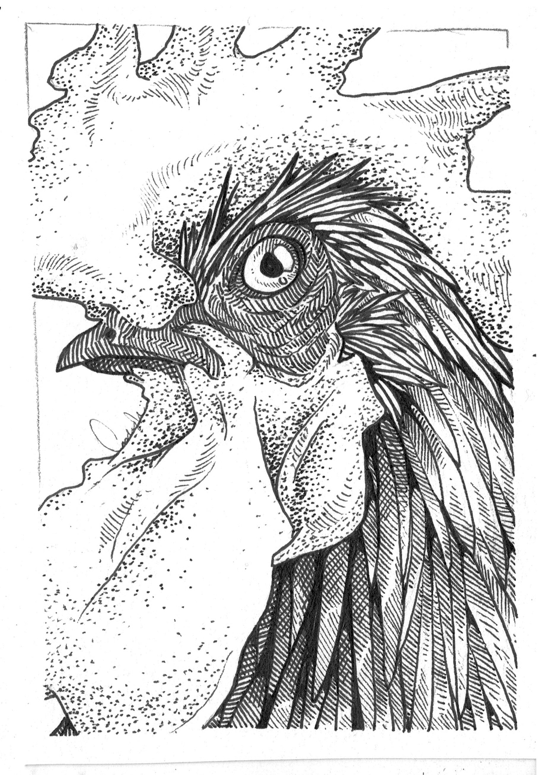 ArtStation - small rooster