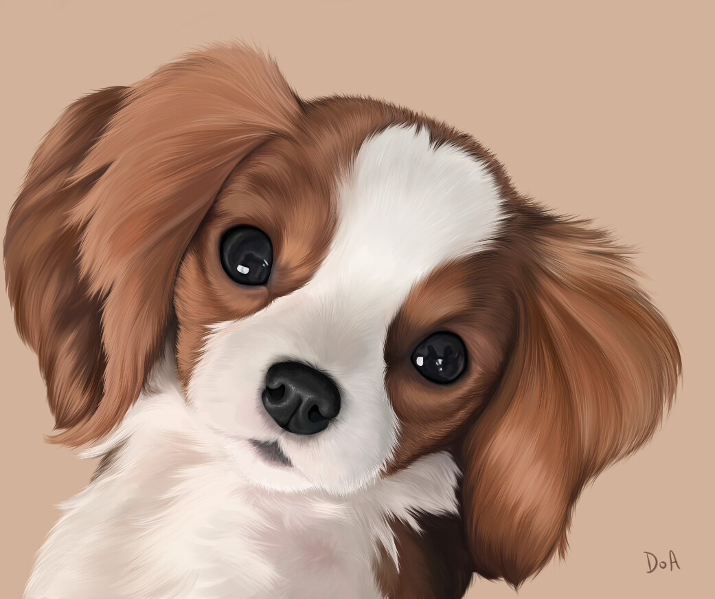 ArtStation - King Charles Cavalier - Illustration