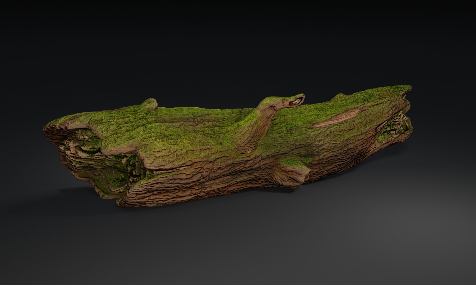 ArtStation - Fallen tree