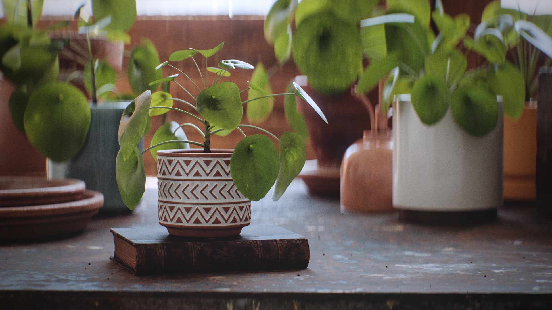 ArtStation - 3D scanned plants - Pilea peperomioides