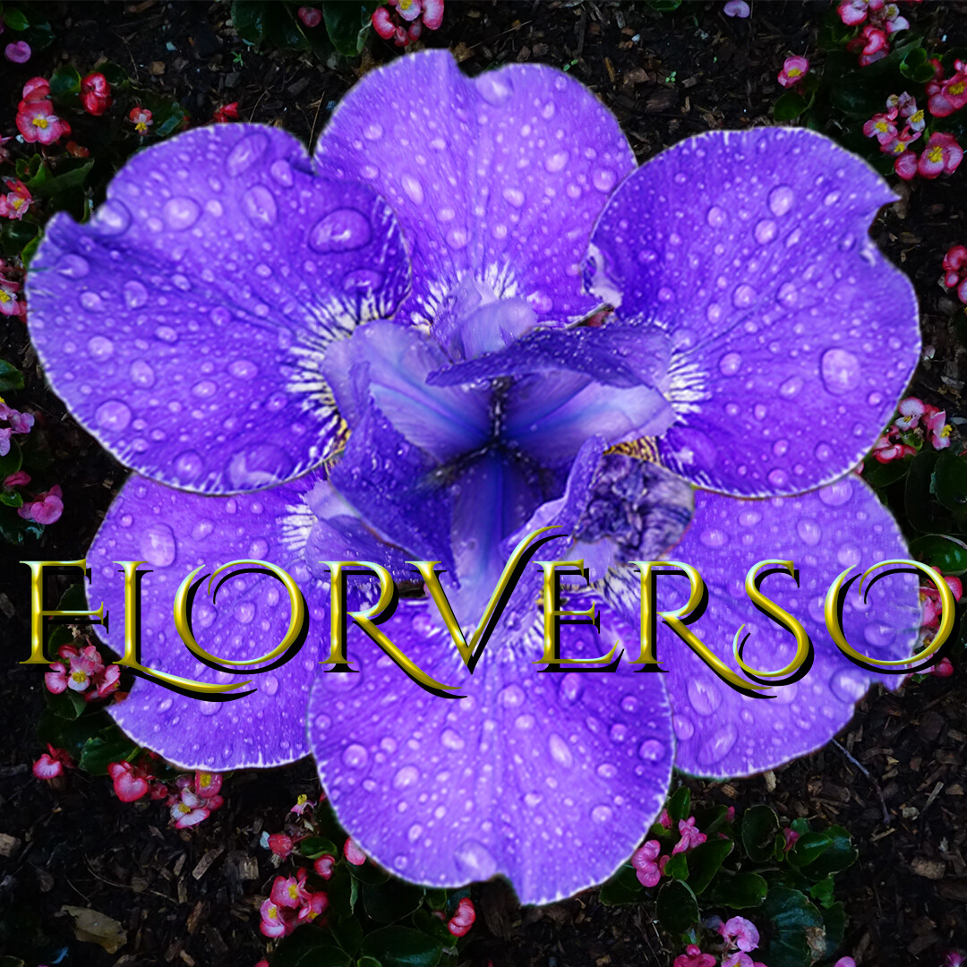 ArtStation - FLORVERSO