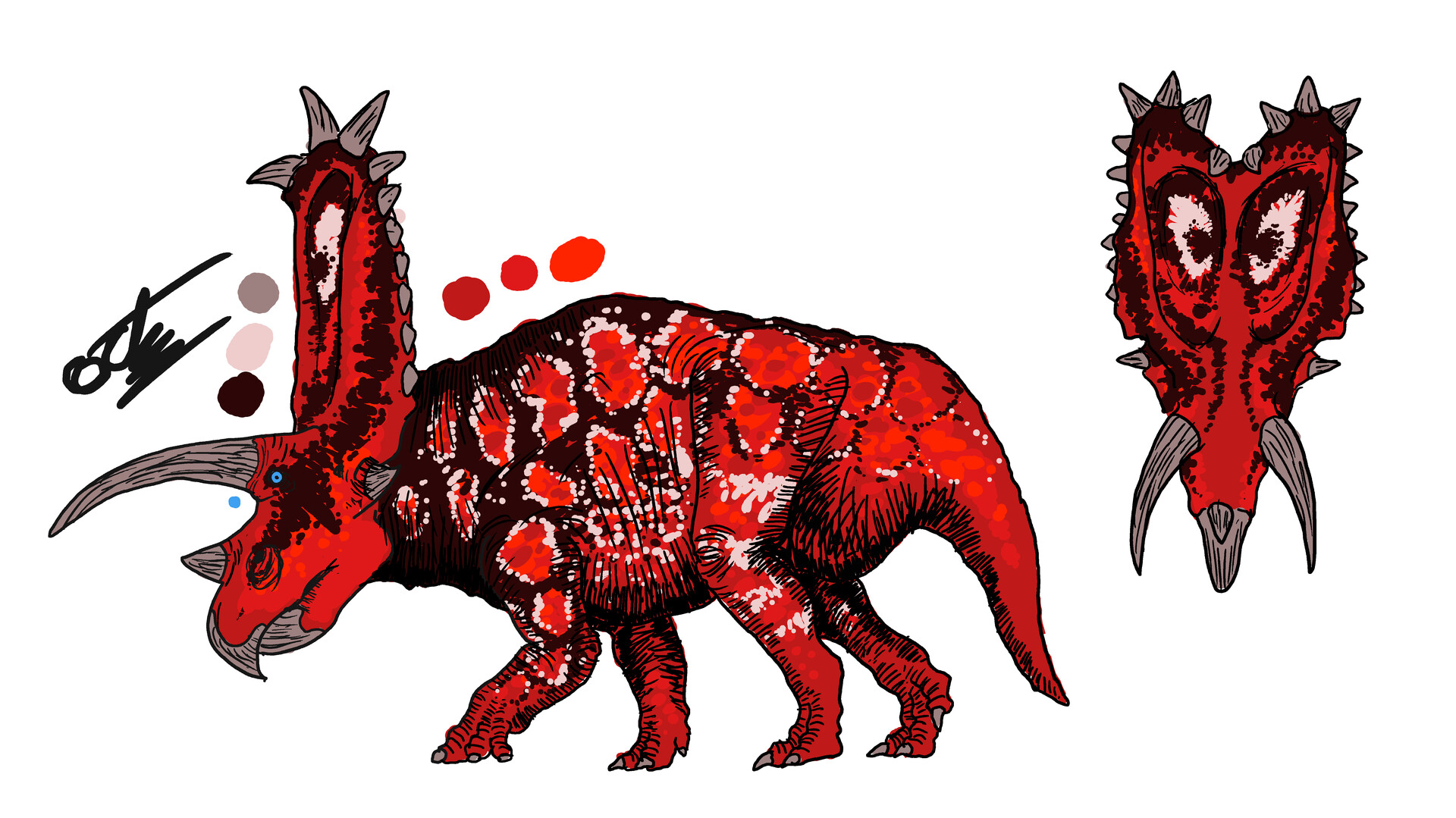 Pentaceratops Skeleton