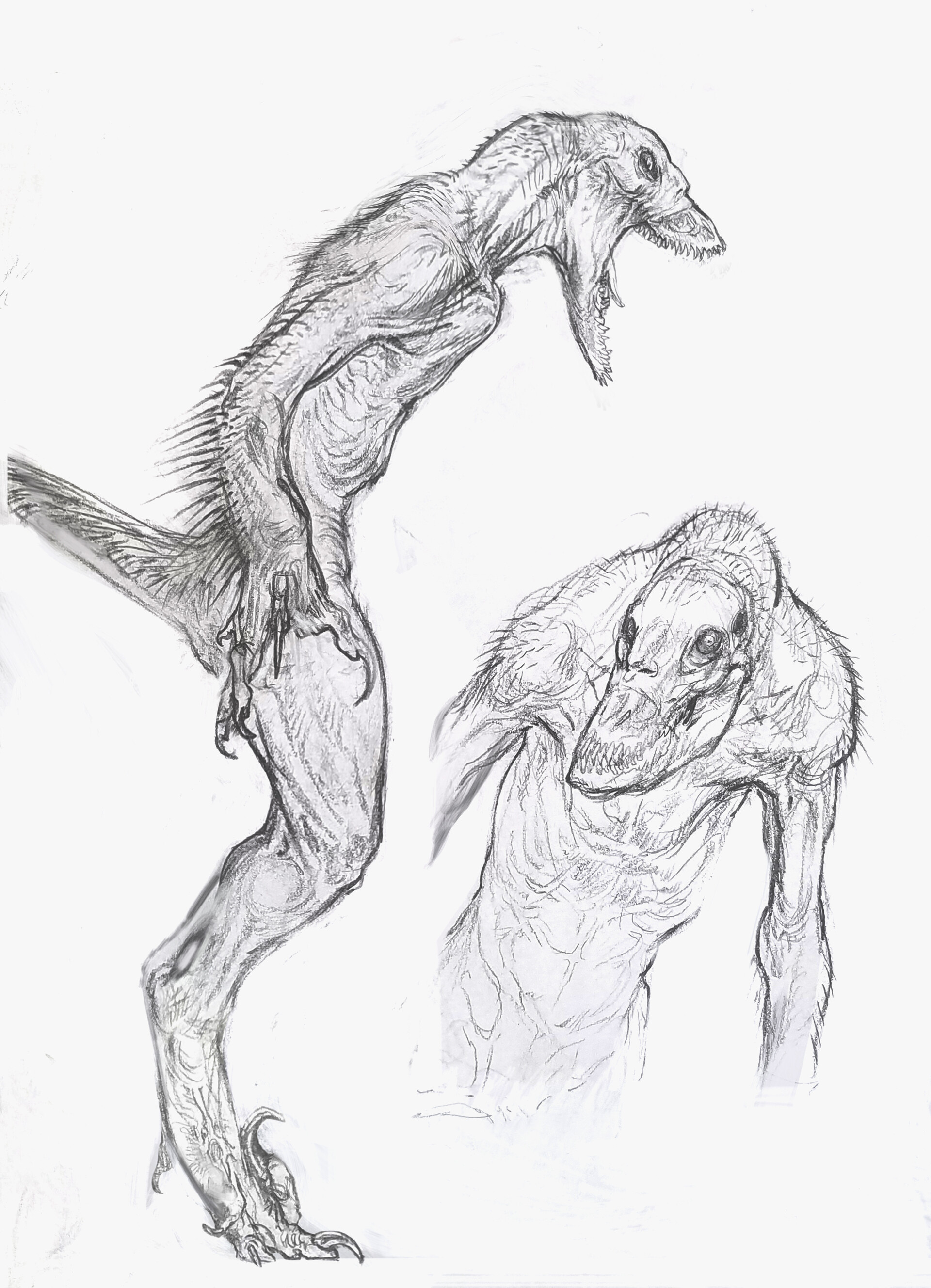 Wereraptor
