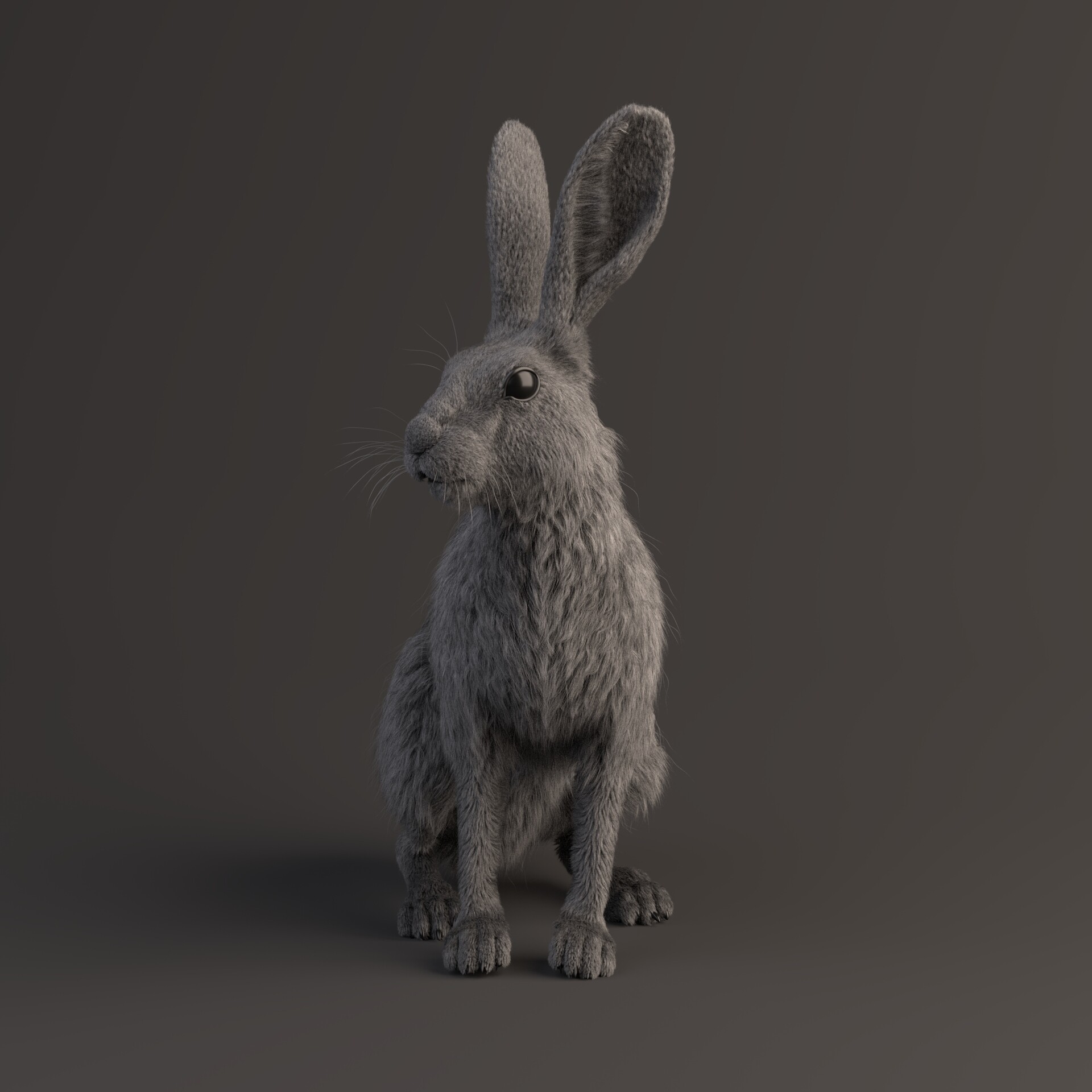 ArtStation - Hare Fur