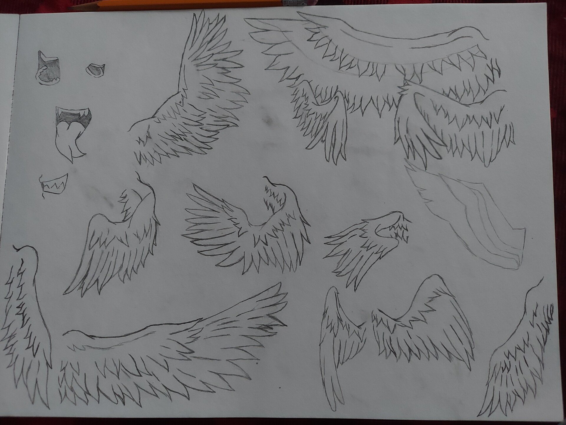 angel wings drawing reference