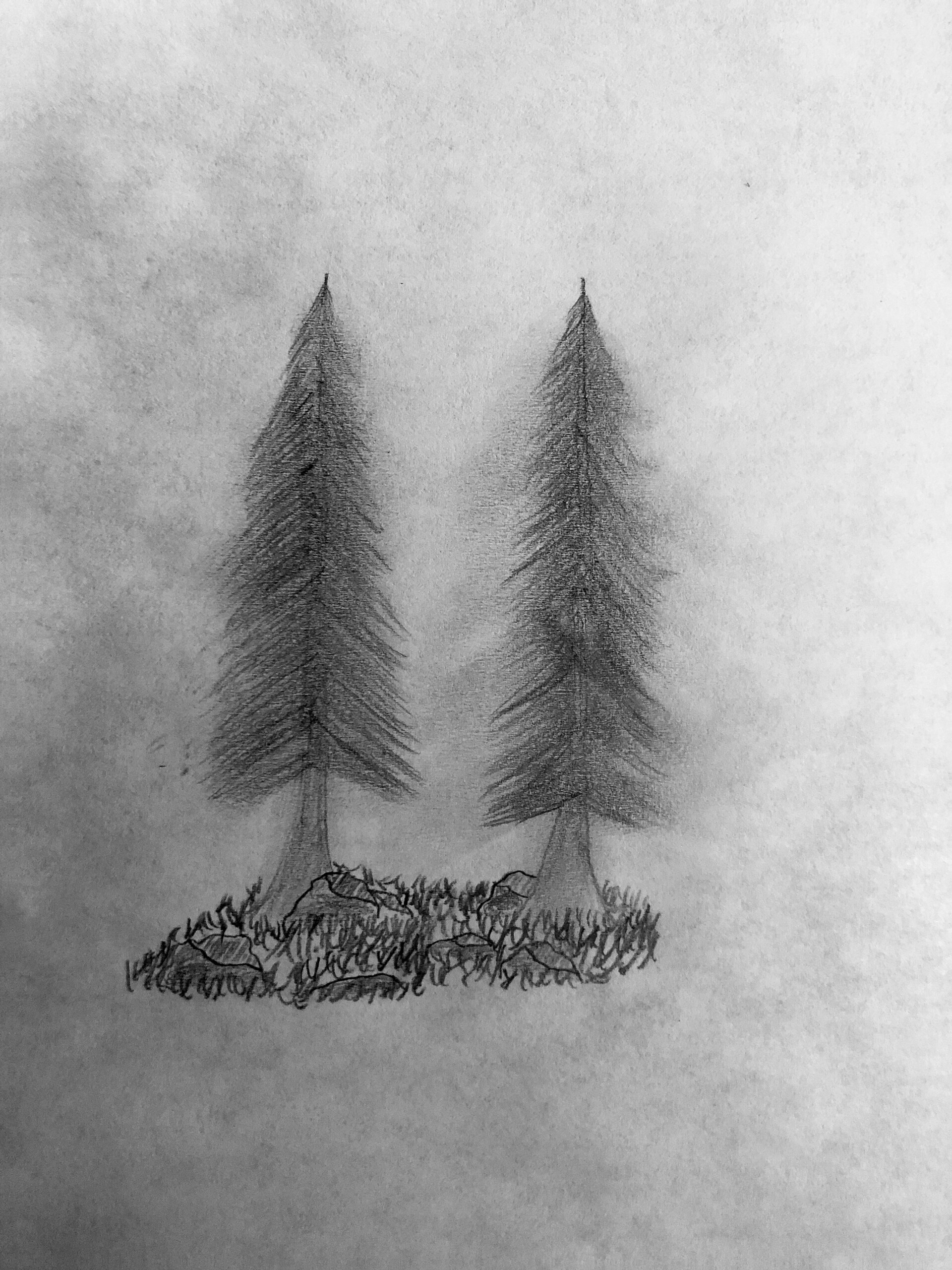 ArtStation - Two Towering Pines