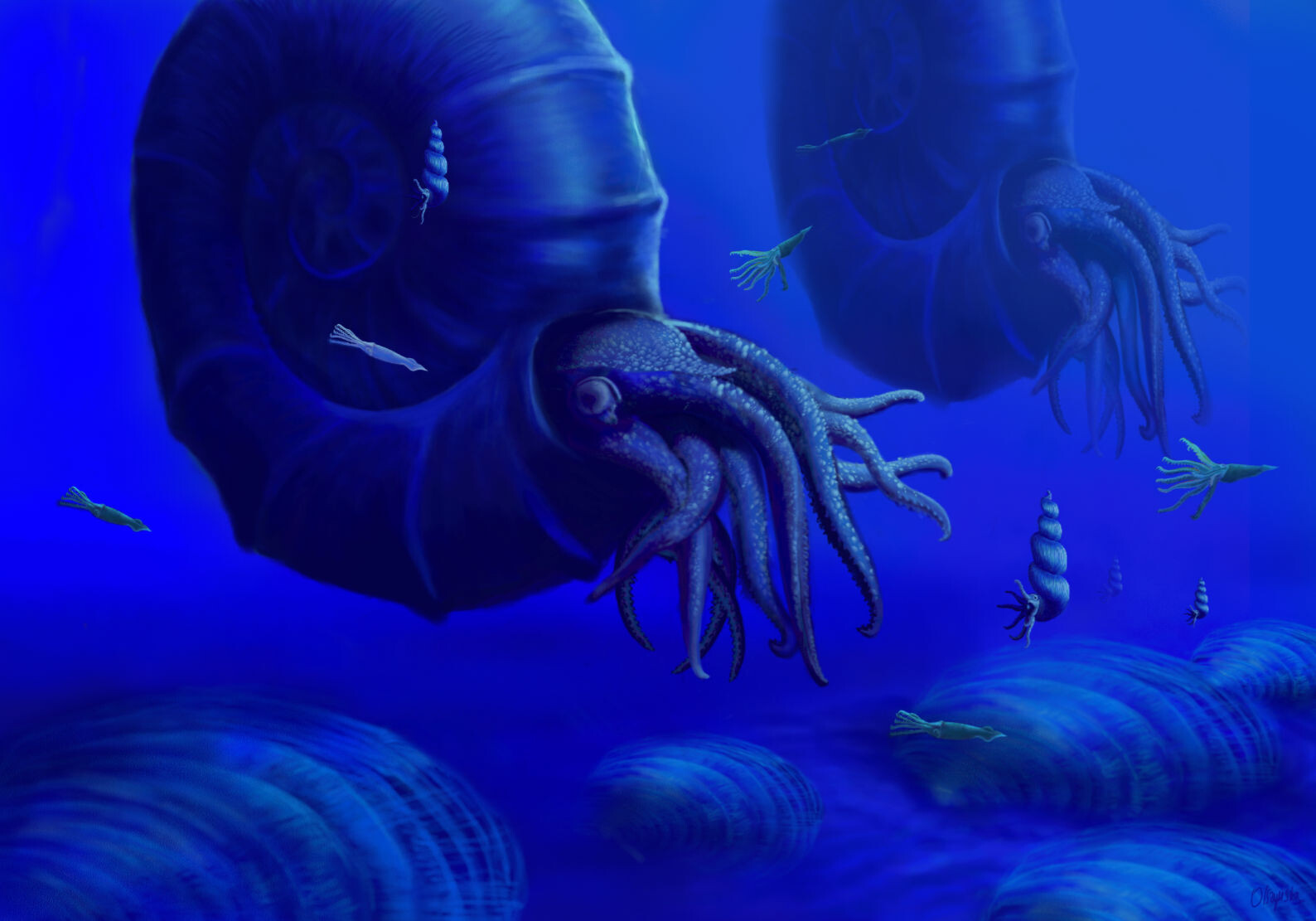 ArtStation - Cretaceous sea animals