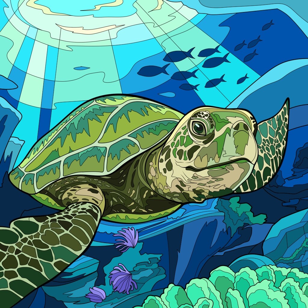 ArtStation - Tortoise