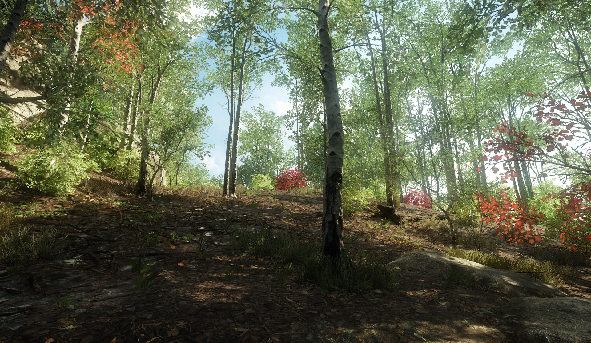 Eugene Plotnikoff - CRYENGINE - Forest
