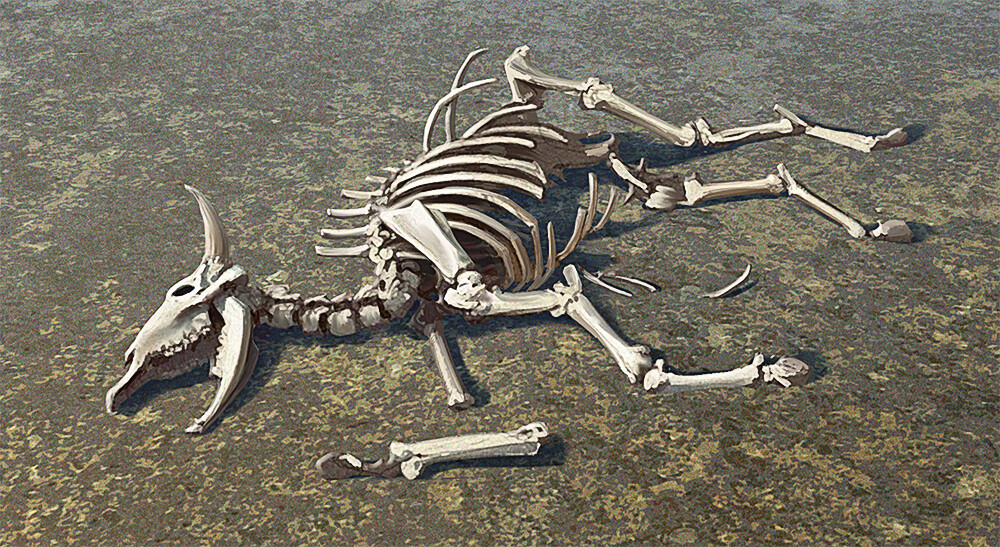 Joel Mandish - Days Gone Props and Collectibles