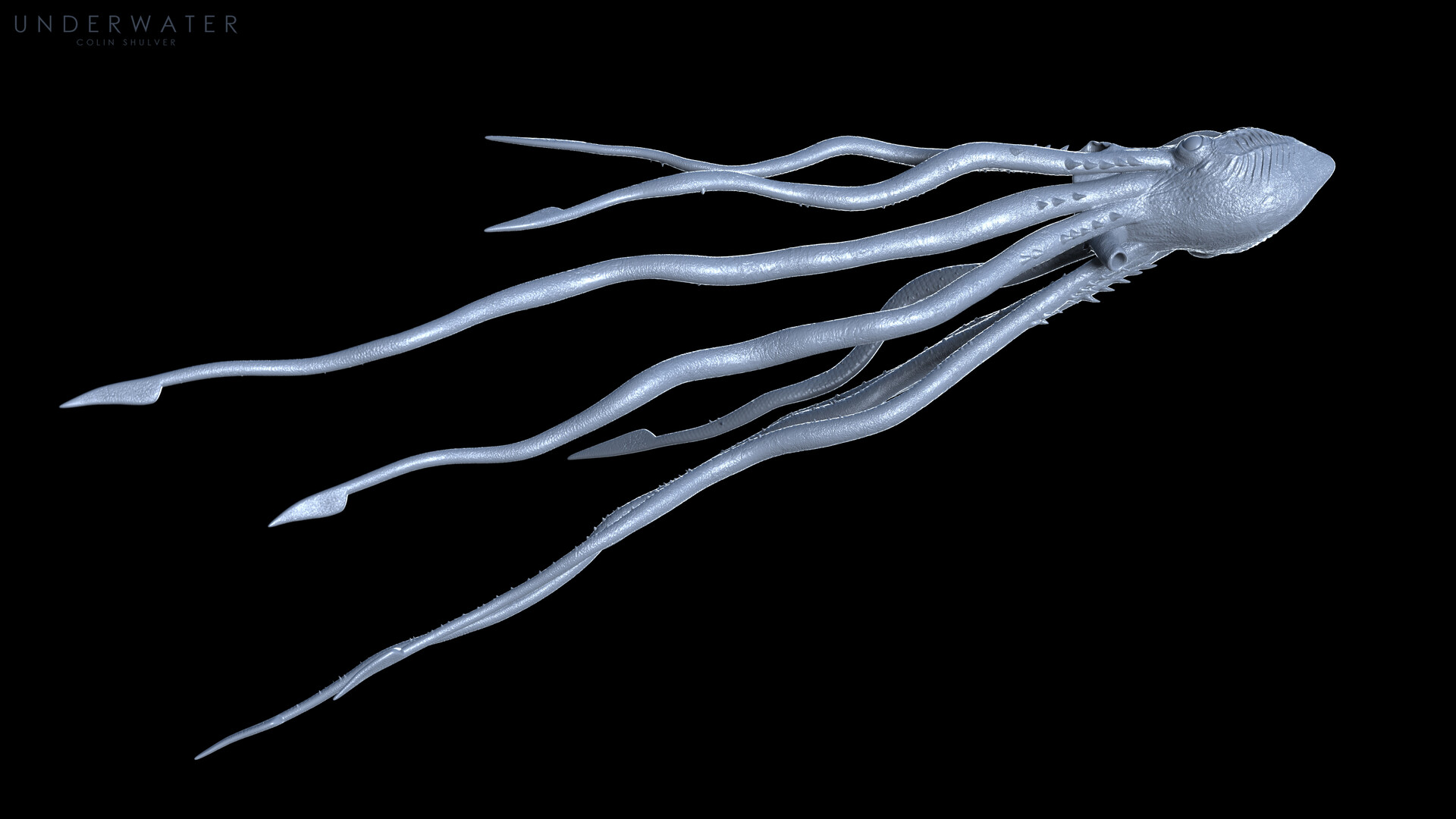 COLIN SHULVER - UNDERWATER