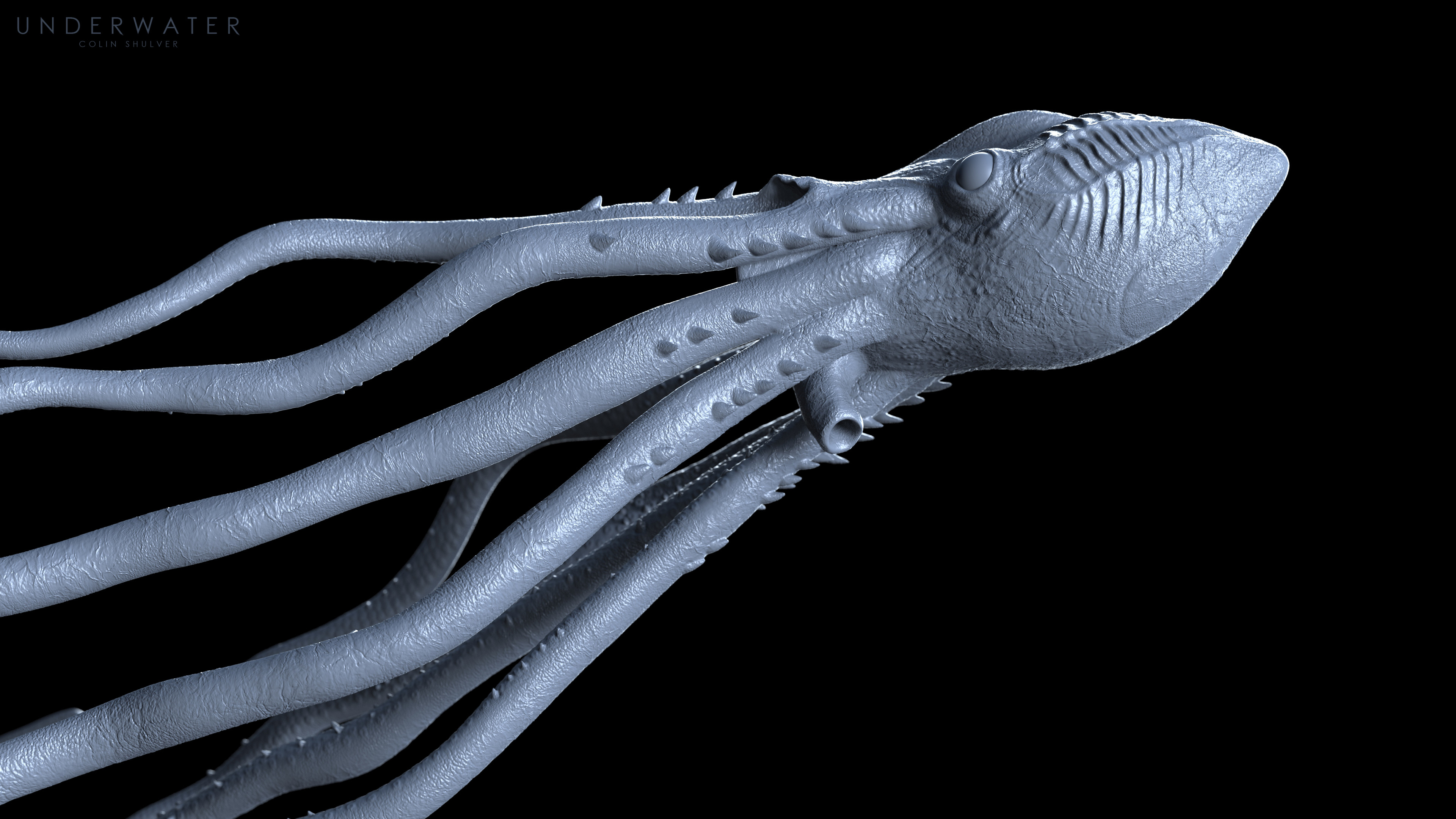 COLIN SHULVER - UNDERWATER