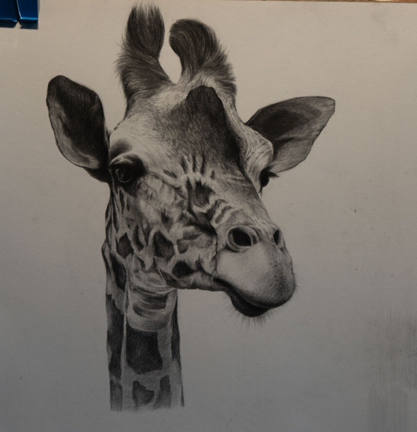 ArtStation - giraffe