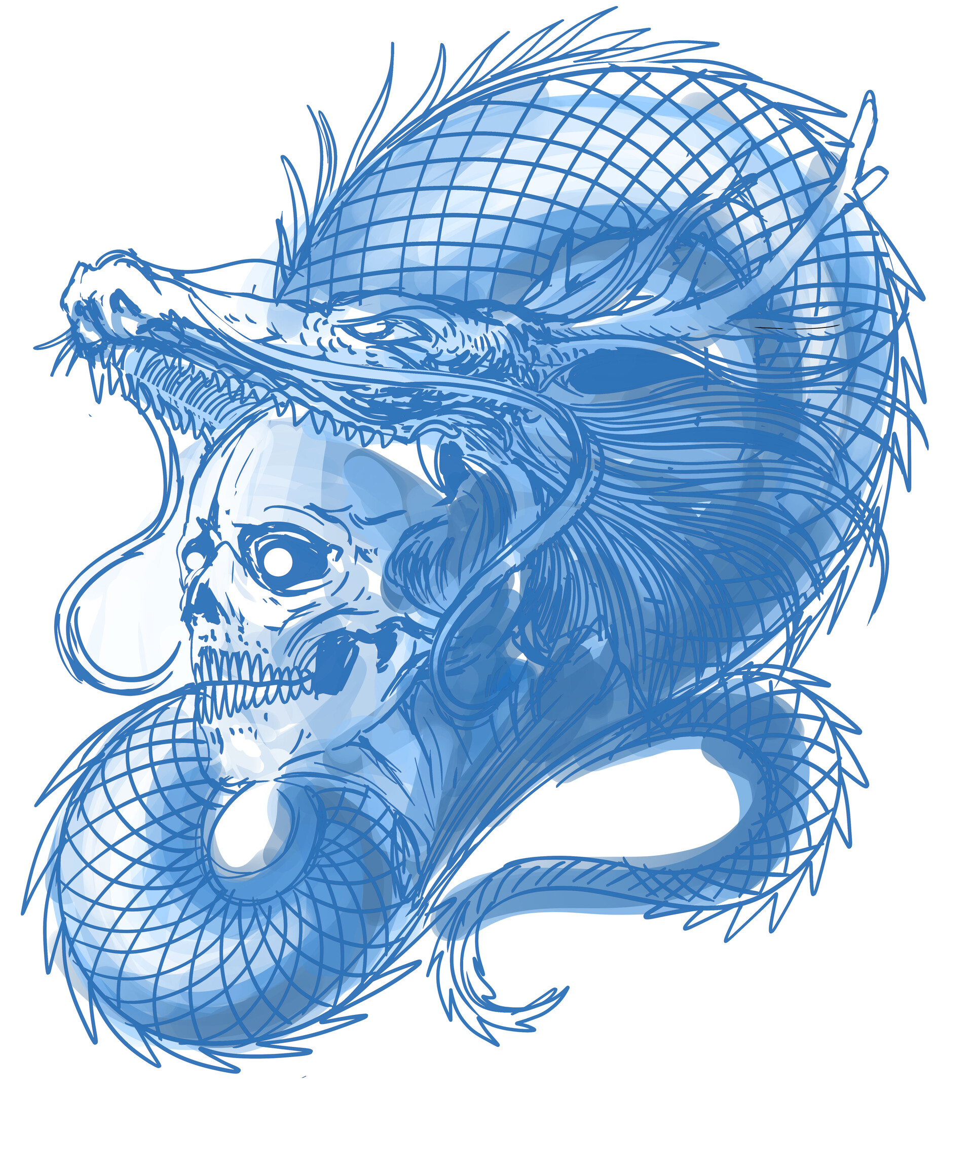 Dragon Skull Drawings