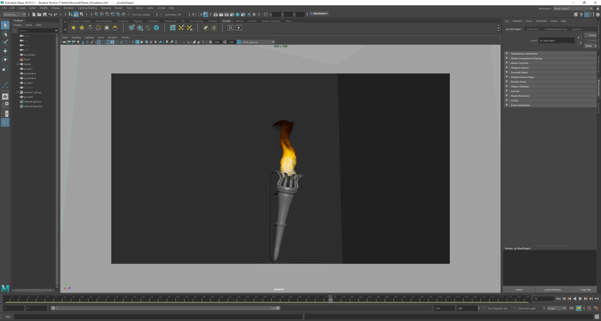 Mark Braasch - Maya FX - Torch