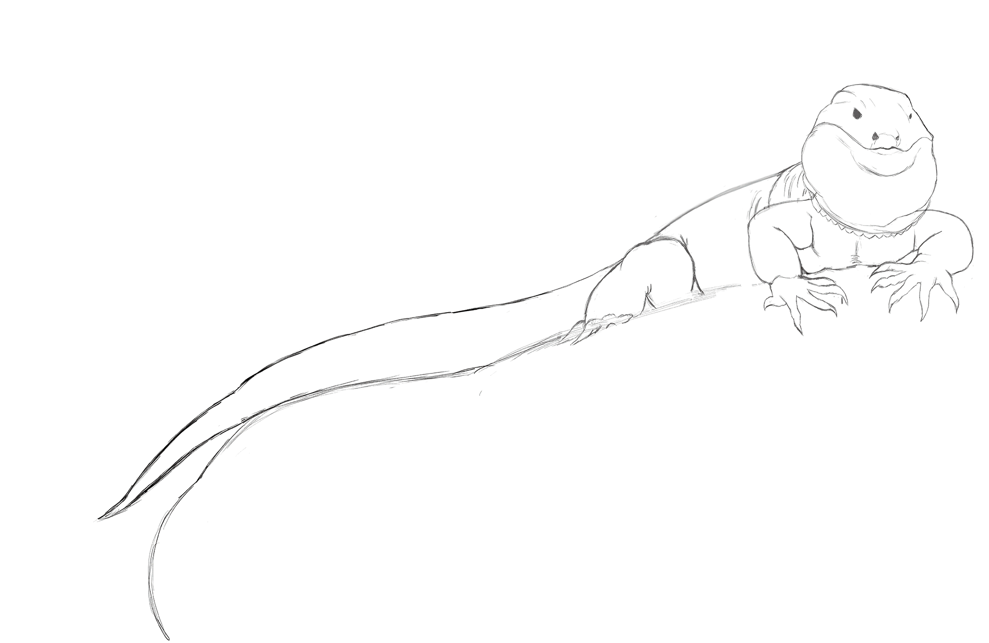 lizard drawing and label