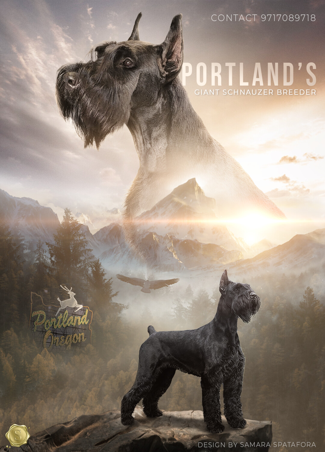 ArtStation - DOG ADVERTISING