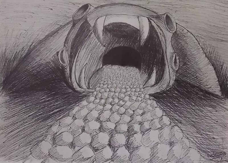 Omar Pedraza - 25 Crowd