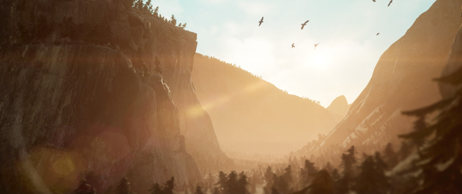 Edwin Hakemulder - The Climb