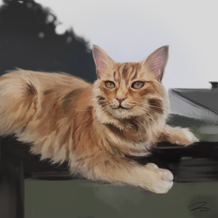 ArtStation - Cat study