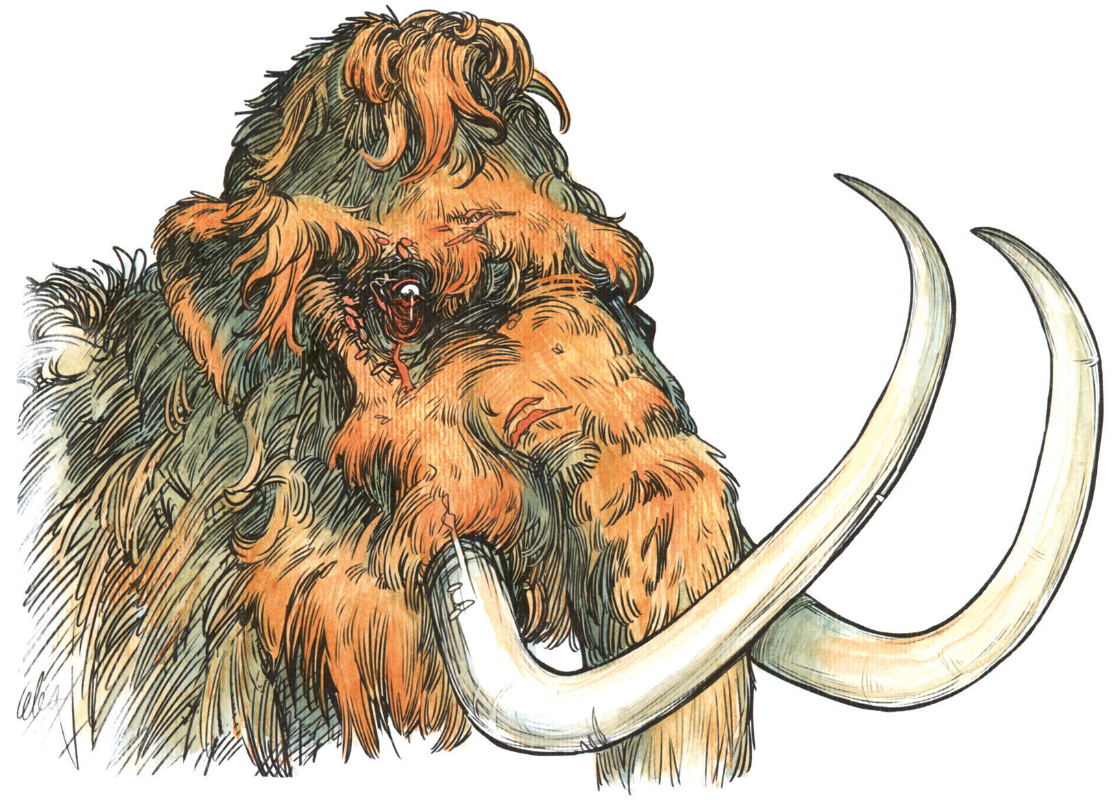 ArtStation - Wooly mammoth
