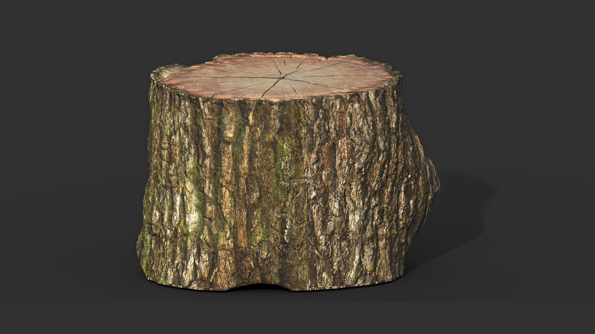 ArtStation - Tree Bark