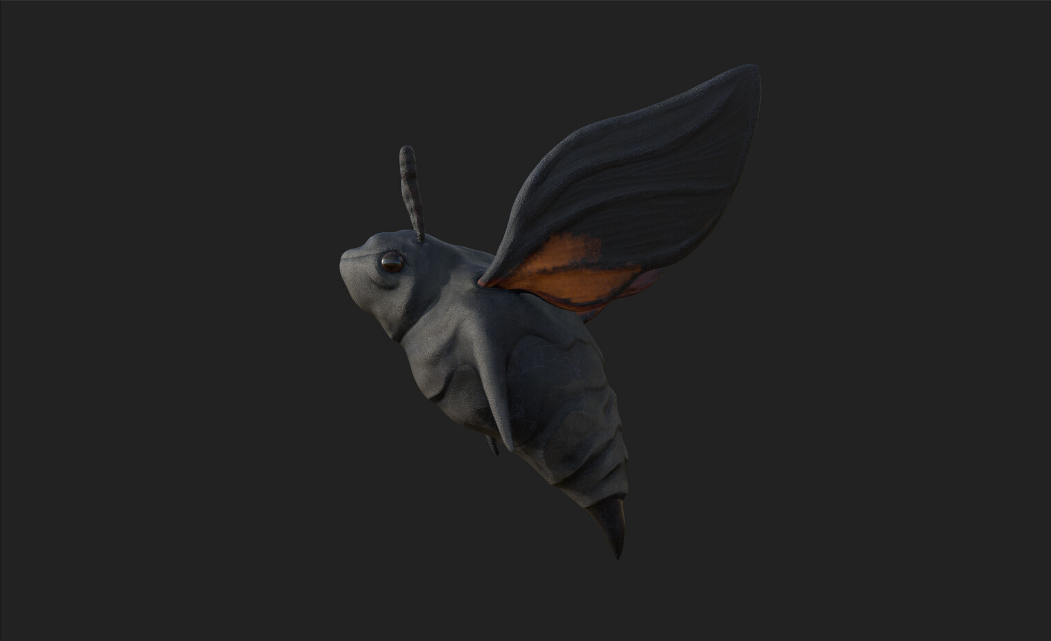 Jaime Ward - Hummingbird Hawk Moth