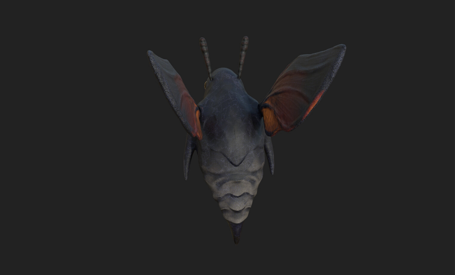 Jaime Ward - Hummingbird Hawk Moth