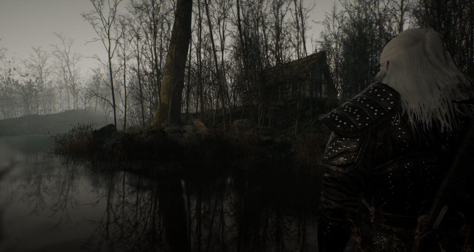 ArtStation - Witcher 4 Swamp