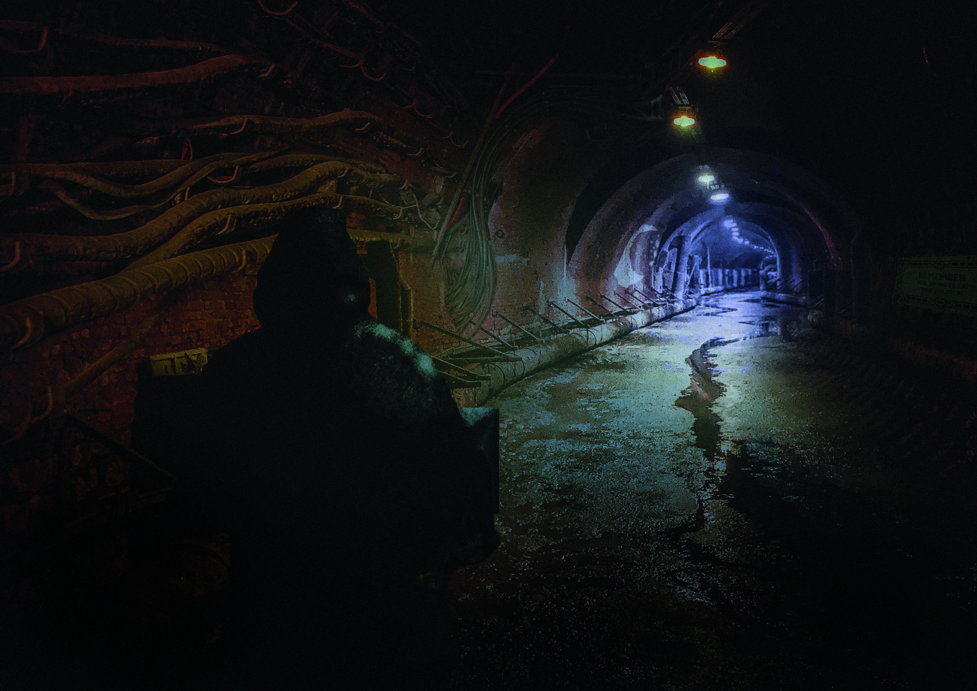 Richard Tulloch - Dead Side of the Moon (Final Edits)